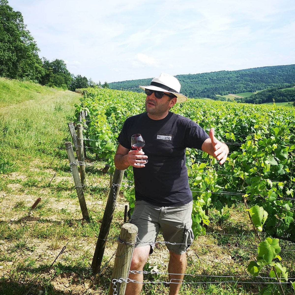 DOMAINE HENRI & GILLES BUISSON – Vinea