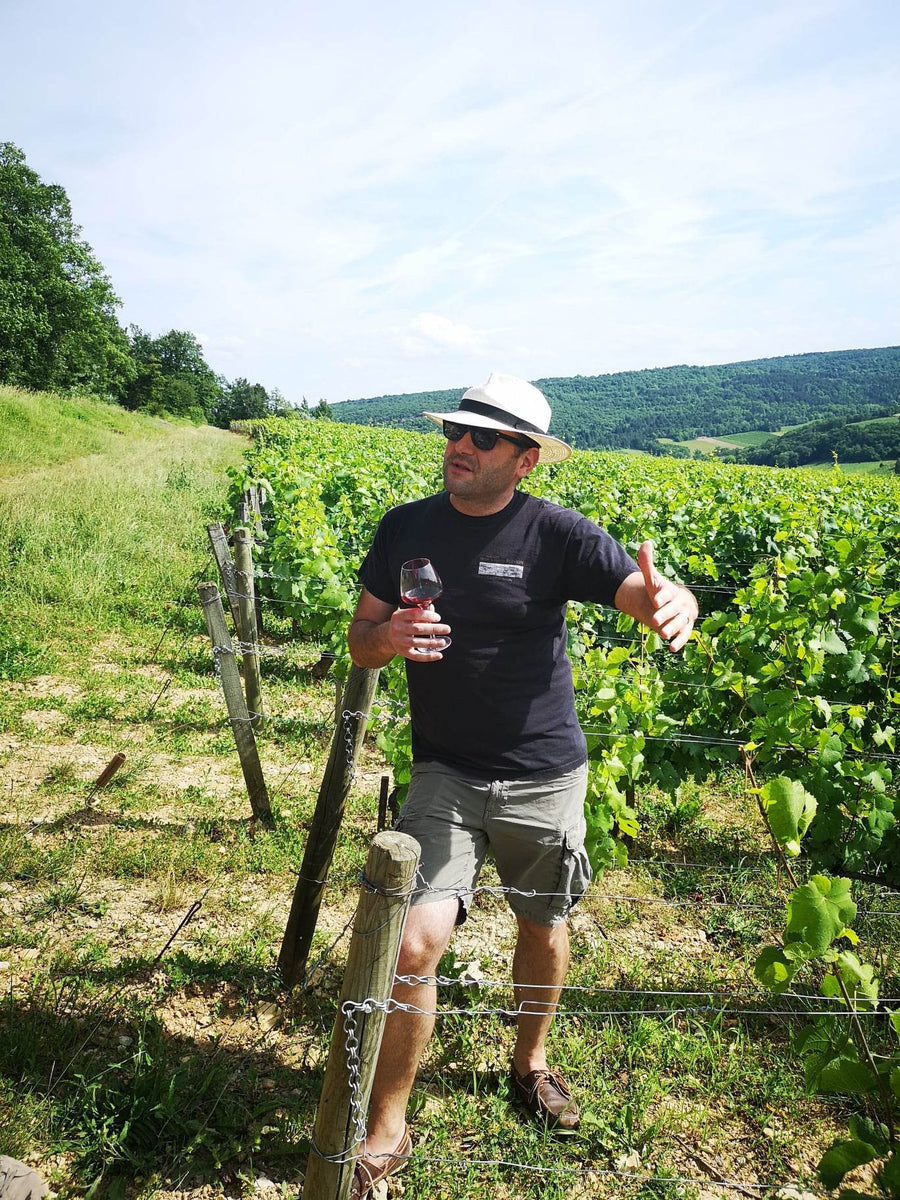 DOMAINE HENRI & GILLES BUISSON – Vinea